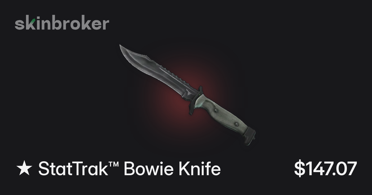 StatTrak™ Bowie Knife | skinbroker